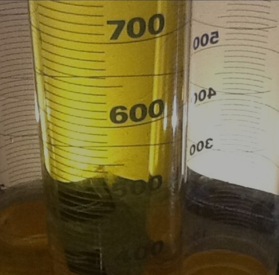 Panel test sull'olio, la necessità di un metodo scientifico - La Nuova ...