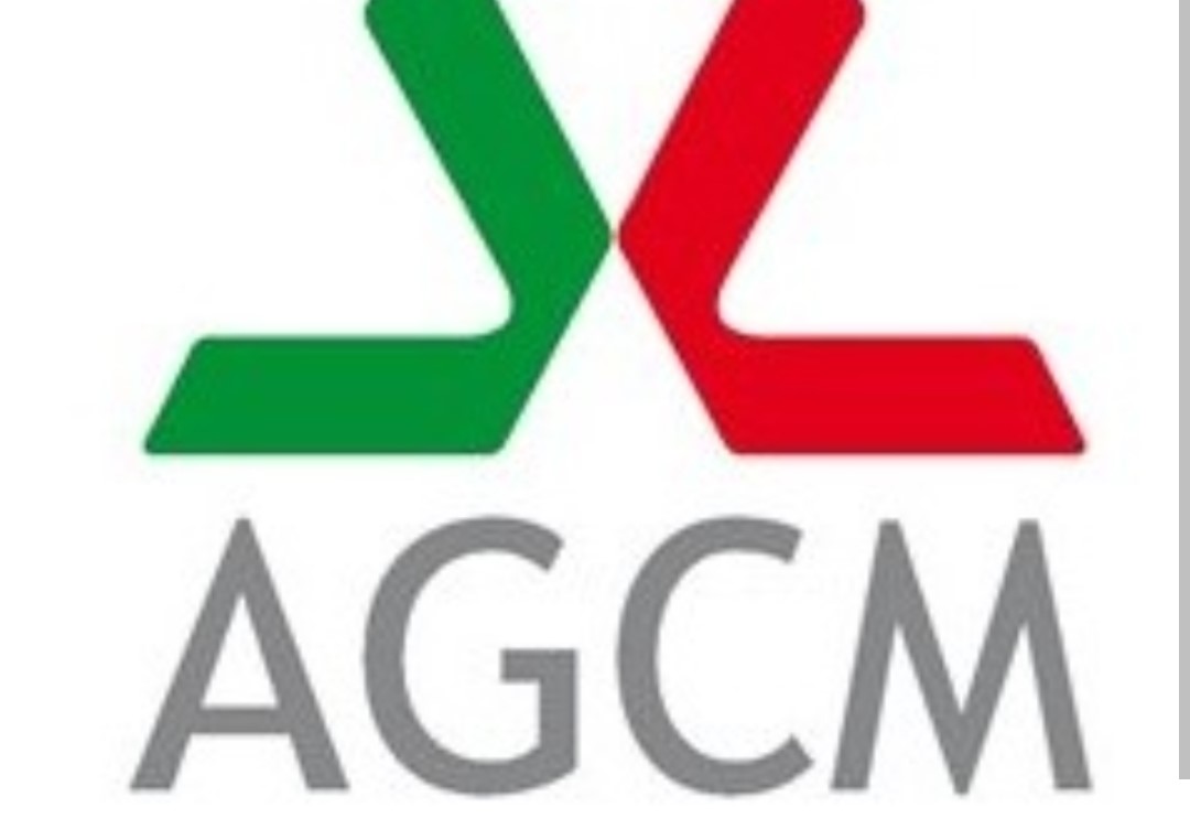 Antitrust (Agcm), cos'è e cosa fa l'Autorità entrata nel vocabolario ...